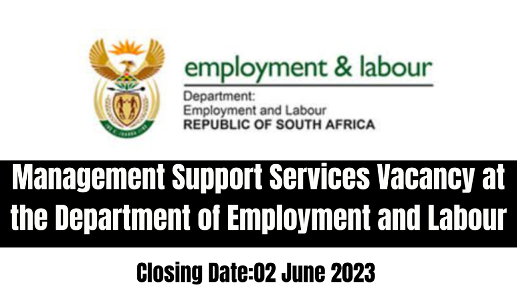 Management Support Services Vacancy at the Department of Employment and ...